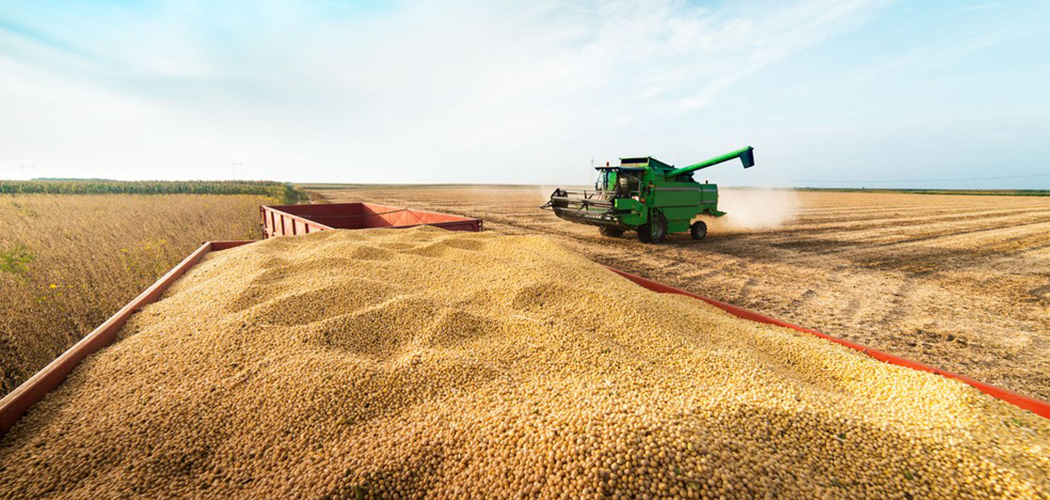 CESB mostra como sojicultores da região Sul alcançam altas ...