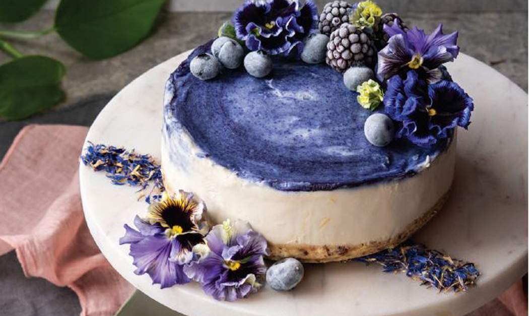Cheesecake Blue - Bom Dia SC