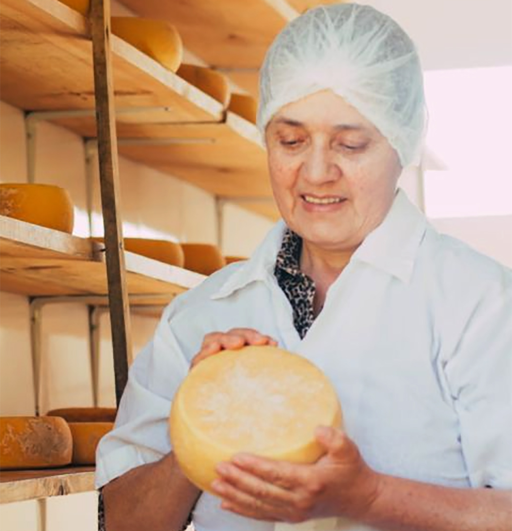 Queijo serrano ganha mercado nacional ao receber o Selo Arte - Bom dia SC