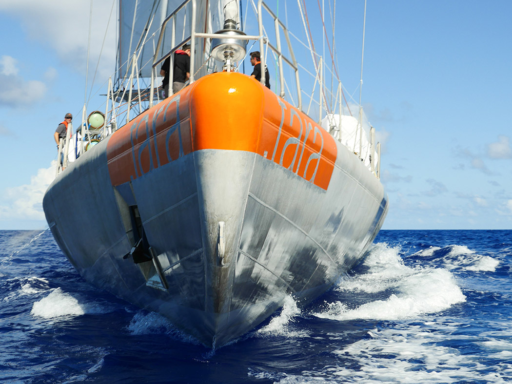Veleiro Eco da UFSC volta ao mar para expedição em projeto ...